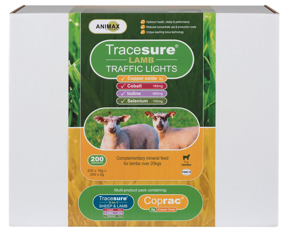 Tracesure® Sheep Traffic Lights PR4236 - GGI Holland